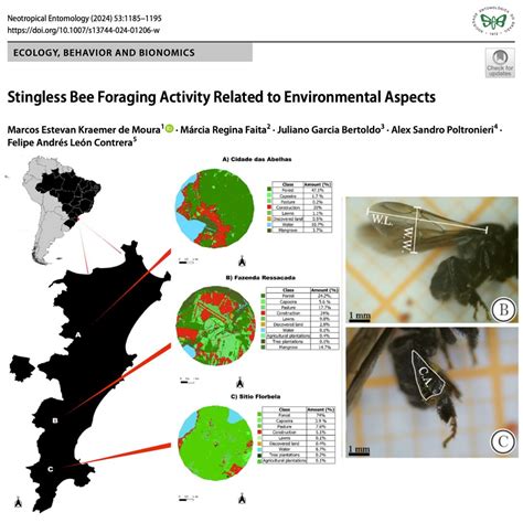 neotropical stingless bee foraging activity related to environmental