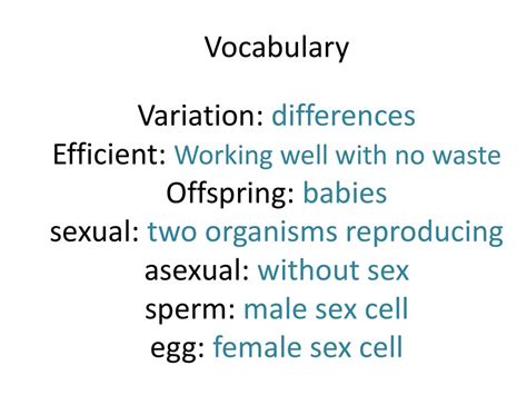Comparing Reproduction Styles Ppt Download