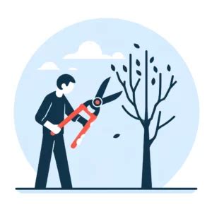 How To Properly Prune Your Trees For Optimal Health Ilya S Tree Service