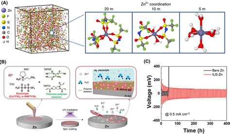 A The Schematic Diagram Of The Water‐in‐salt” Model With 1 M
