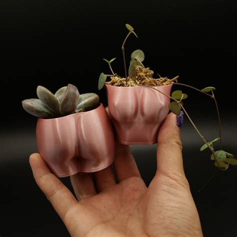 Boob Planter Etsy