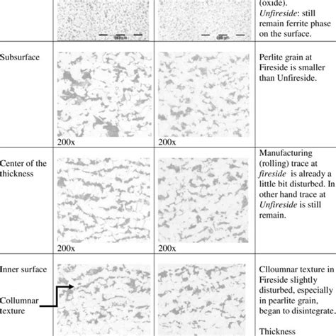 Macro Photograph And Microstructure In Situ Metallography Download Scientific Diagram
