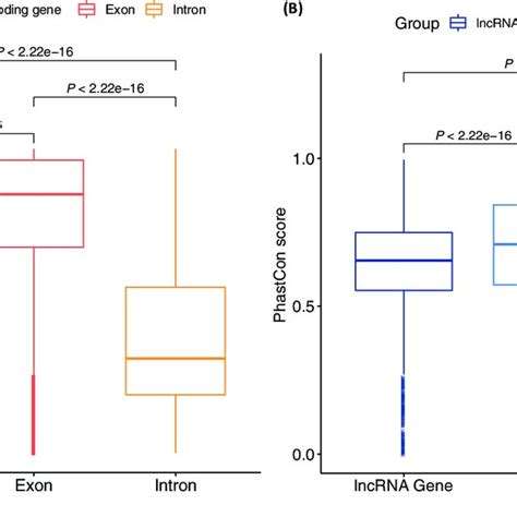 Coding And Non Coding DNA In Human Genome Download Scientific Diagram