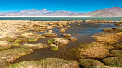 Santa Rosa Lagoon Nevado Tres Cruces National Park Region Iii Of