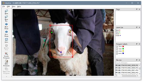 sheepfacenet a speed accuracy balanced model for sheep face recognition