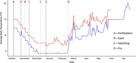 Recorded Average Daily Temperature For Each Temperature Regime In The Download Scientific