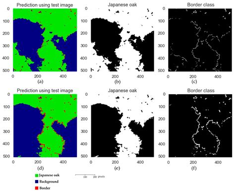 Algorithms Free Full Text Mapping The Distribution Of High Value Broadleaf Tree Crowns