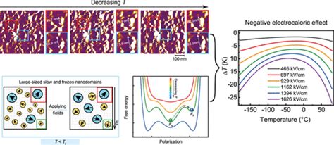 Giant Negative Electrocaloric Effect Over An Ultra Wide Temperature