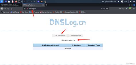 log4j2远程代码执行漏洞复现 cve 2021 44228 cve 2021 44228复现 csdn博客