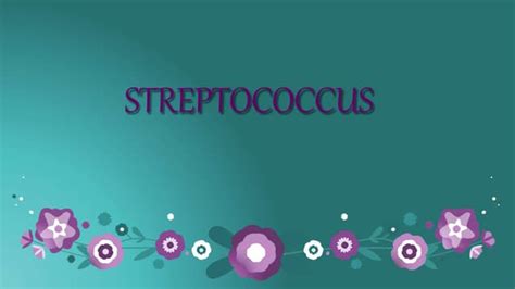 Streptococci 160611101831 Pptx