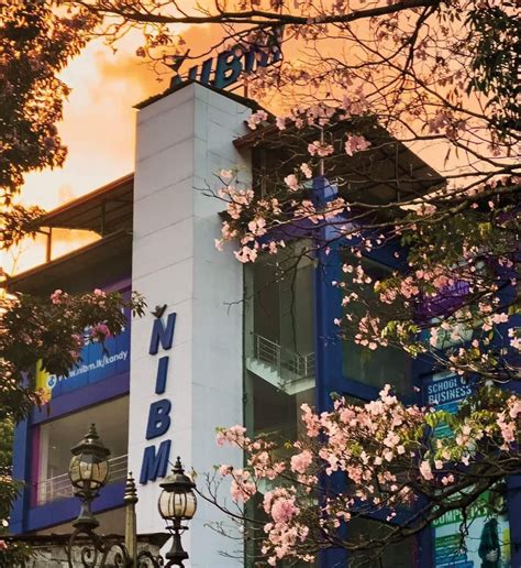 Higher Education Institution National Institute Of Business Management