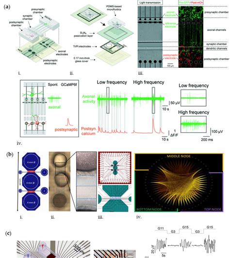 a design of the micromea platform scheme showing the microfluidic