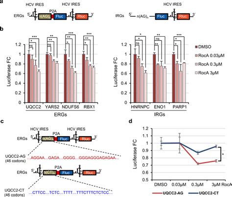 Luciferase Reporter Assays Showing Reduced Protein Synthesis Due To