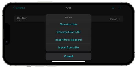 a guide on using blink shell to participate in the tildeverse on iphone