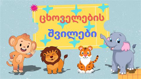 გარეული ცხოველები და მათი შვილები Youtube