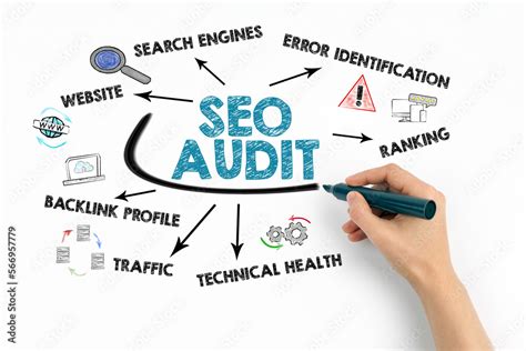 Seo Audit Concept Chart With Keywords And Icons On White Background