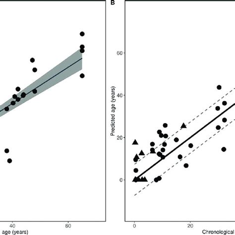 Final Age Estimation Model Analysis Of Estimation Accuracy And Model