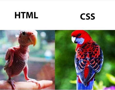 Itkonekt On Linkedin