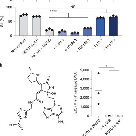 Compound 3 Prevents Colibactin Induced Genotoxicity In Human Cells A Download Scientific