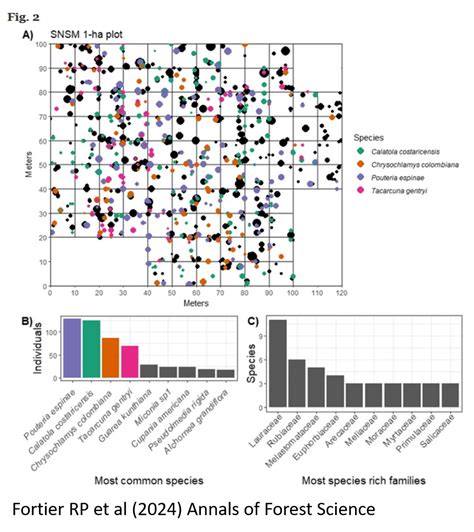 Diversity Composition And Structure Of A 1 Hectare Tree Plot In The Cloud Forest Of The Sierra