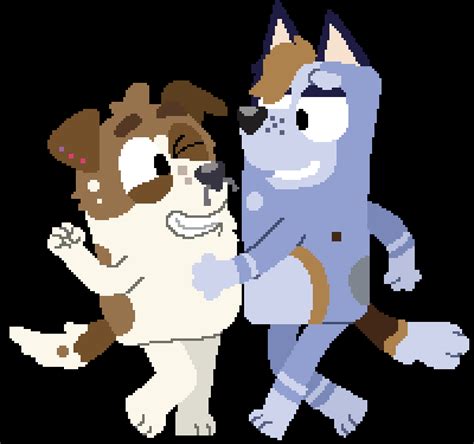 Socks Heelerlulu Heeler And Bluey Wiki Fandom