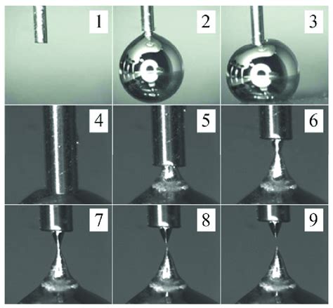 Formation Of The Egain Liquid Eutectic Electrode Download Scientific