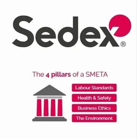 smeta sedex audit preparation services mock drill training to team