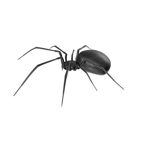 Spider Isolated On Transparent Background Png