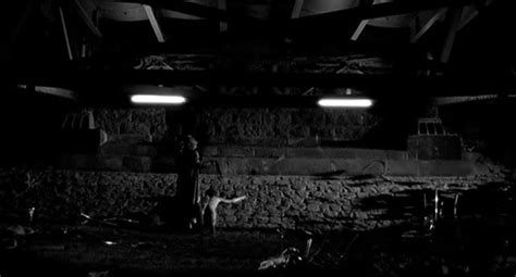 Bdsmcfnm Lady Mature 4