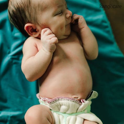 Kanga Care Bamboo Prefold Cloth Diapers 6pk Size 1 Newborn