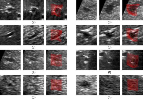 Illustration For The Distribution Of Sampling Locations In One Shot Download Scientific Diagram