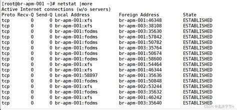 『运维备忘录』之 Netstat 命令详解netstat 语法 Csdn博客