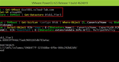 POWERCLI VIRTUAL MACHINE STORAGE MIGRATE SVMOTION AND DATASTORE PORT BINDING MULTIPATHING