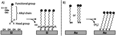 Reactive Self Assembled Monolayers From Surface Functionalization To