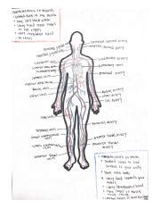 Effective Study Techniques Boost Your Learning Potential Course Hero