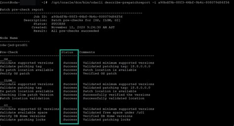 Step By Step Apply Patch Oda X7 2m From 18 3 To 18 8 Dbsguru