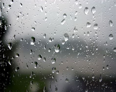 Here Comes Rain Protothemanews Com