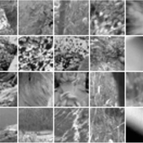 Left Example Of Patches Extracted From Natural Images For Traditional Download Scientific