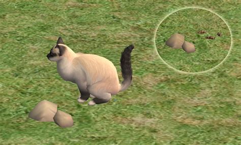 Jacky93sims — Natures Kitty Litter For The Sims 2