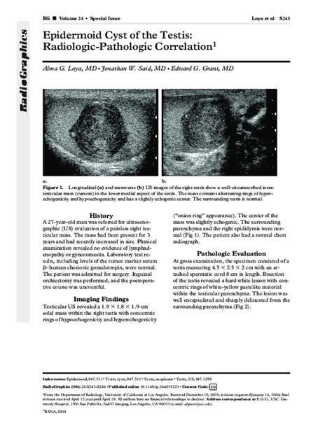 Pdf Epidermoid Cyst Of The Testis Radiologic Pathologic Correlation