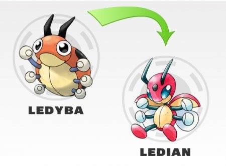 Pokemon Ledyba Evolution