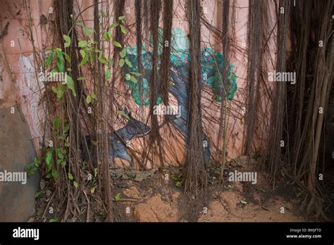 Lafrique Afrique De Louest Bénin Ouidah Temple De Lpythons Photo