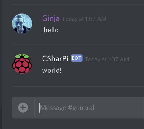 C Discord Bot On Raspberry Pi Simple Bot With Config File — The