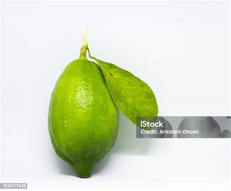 테스트에 대 한 공간을 가진 흰색 배경에서 레몬 절연된 향기 킹 0명에 대한 스톡 사진 및 기타 이미지 0명 건강관리와 의술 건강한 생활방식 Istock