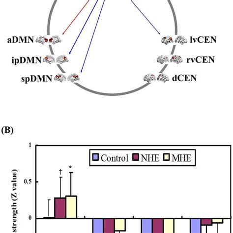 Between Group Differences Of Inter Network Functional Connectivity