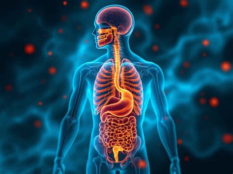 Carcinoid Syndrome Md Searchlight