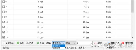 文件管理专家一键复制与分类大量文件的艺术，批量改文件名的提效办公软件 csdn博客