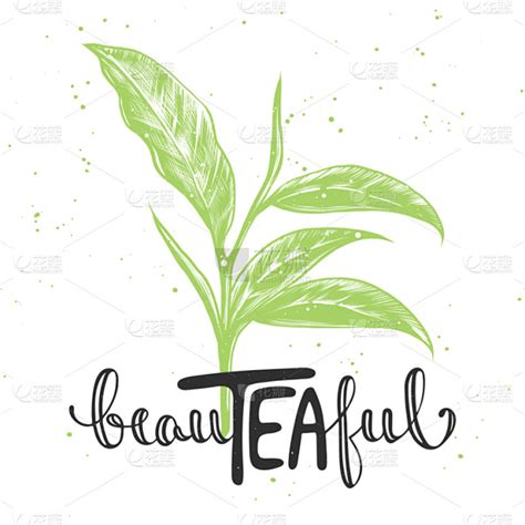 动物手字体贺卡个性式样茶农业饮料斯里兰卡绘制