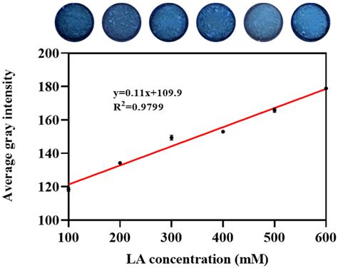 Paper Based Microfluidic Device For Extracellular Lactate Detection