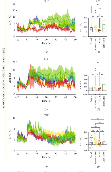 Figure 6 From Activating The Astrocytes Of The Dorsal Raphe Nucleus Via Its Neural Circuits With